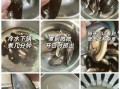 贻贝怎么清洗_贻贝蒸多久才熟