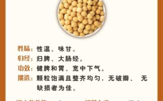 煮黄豆的功效与作用禁忌_哪些人不能吃
