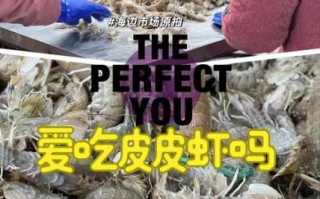 虾爬子什么时候最肥_虾爬子肥美季节