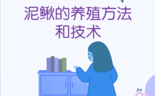 泥鳅养殖技术视频教程_泥鳅养殖技术视频教程怎么学