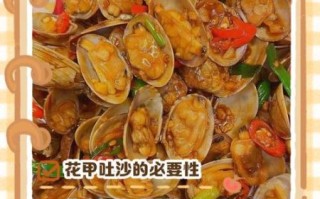 花甲怎么去沙快又干净_花甲吐沙最快的方法