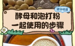 泡打粉和酵母的区别_泡打粉可以代替酵母吗