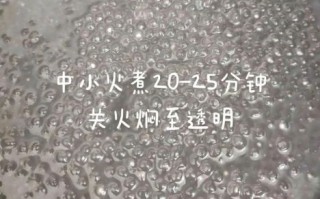 大西米怎么煮又快又好_大西米煮多久才透明