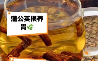 蒲公英根能治什么病_蒲公英根泡水喝的禁忌