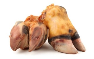 牛蹄和马蹄的区别_牛蹄马蹄哪个更硬