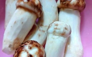 松茸怎么吃效果最好_松茸怎么保存营养不流失