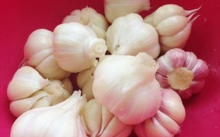 腌蒜头怎么做_腌蒜头需要几天能吃