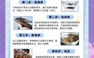 如何挑选优质海参_海参泡发多久最好