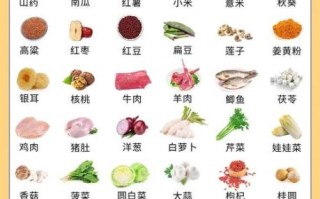 什么食物最养胃_胃病吃什么好得快