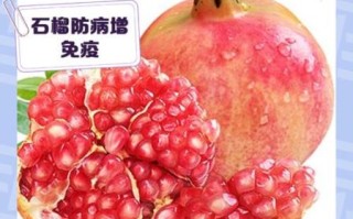 石榴补肾吗_石榴怎么吃最补肾