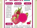 火龙果的功效和作用有什么_火龙果怎么吃才减肥