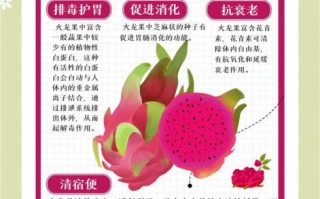 火龙果的功效和作用有什么_火龙果怎么吃才减肥
