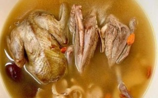 白鸽汤怎么炖最补_白鸽汤的做法大全