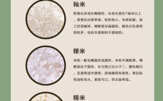 粳米和大米的营养区别_粳米和大米哪个更健康
