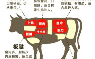 菲力牛排和西冷牛排哪个贵_价格差异原因