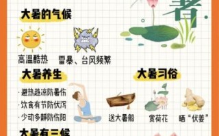 大暑是入伏第一天吗_入伏从哪天开始算