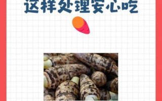 芋头过敏手痒怎么办_快速止痒小妙招