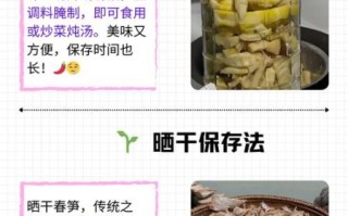 春笋怎么挑选_新鲜笋怎么保存