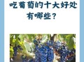 葡萄的功效与作用有哪些_葡萄营养价值高吗