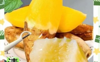 雪莲果怎么吃_雪莲果的家常做法大全