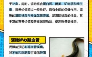 男人吃泥鳅有什么好处_泥鳅对男性功效与作用