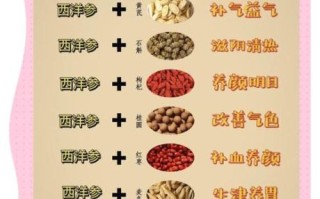 西洋参的功效与作用_西洋参适合什么人吃