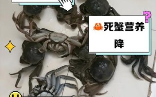 螃蟹死了怎么处理_死了的螃蟹还能吃吗