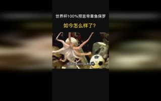 章鱼保罗为什么能预测世界杯_章鱼保罗预测原理揭秘