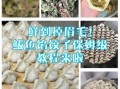 鲅鱼饺子怎么调馅不腥_鲅鱼饺子鲜嫩多汁的秘诀