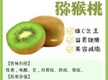 奇异果减肥怎么吃_奇异果减肥多久见效