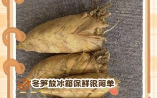 鲜笋怎么保存时间长_鲜笋放冰箱能放多久
