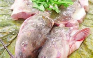 塘坝鱼怎么做好吃_塘坝鱼的家常做法窍门