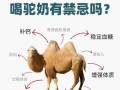 驼奶粉的功效与作用适合人群_驼奶粉适合哪些人喝