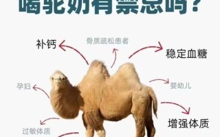 驼奶粉的功效与作用适合人群_驼奶粉适合哪些人喝