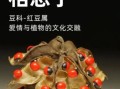 相思豆有毒吗_相思豆种子怎么种