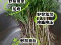 藜蒿的功效与作用_藜蒿怎么吃最养生
