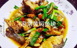 炖鱼块怎么炖好吃_炖鱼块的家常做法