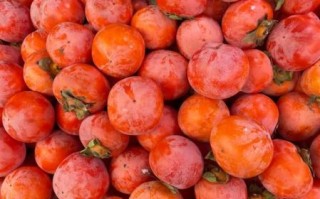 秋天吃什么水果好_秋季应季水果有哪些 秋天吃什么水果好_秋季应季水果有哪些