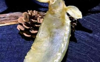黄唇鱼鱼胶多少钱一斤_黄唇鱼鱼胶的功效与作用