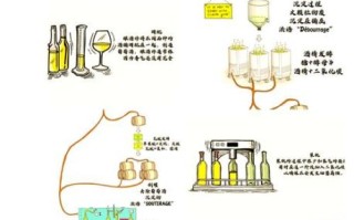 自制白葡萄酒的正确方法_家庭自酿白葡萄酒步骤