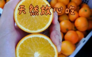 冰糖蒸橙子治哪种咳嗽_适合干咳还是痰咳