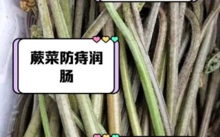 蕨菜的功效与作用_蕨菜的危害有哪些