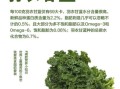 羽衣甘蓝可以冷冻保存吗_冷冻后营养会流失吗