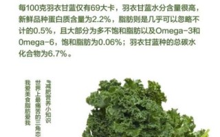 羽衣甘蓝可以冷冻保存吗_冷冻后营养会流失吗