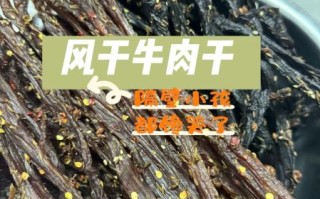 风干牛肉怎么做好吃_风干牛肉的家常做法