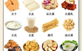 豆类大全_哪些豆子最营养