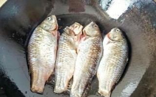 新鲜小鲫鱼怎么做好吃_小鲫鱼汤的做法家常