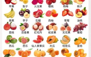 虎皮鹦鹉吃什么食物_虎皮鹦鹉能吃哪些蔬菜水果