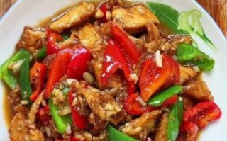 鸡胸肉怎么烧好吃_鸡胸肉怎么做不柴