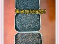 血糯米和黑米哪个补血_血糯米和黑米补血效果对比